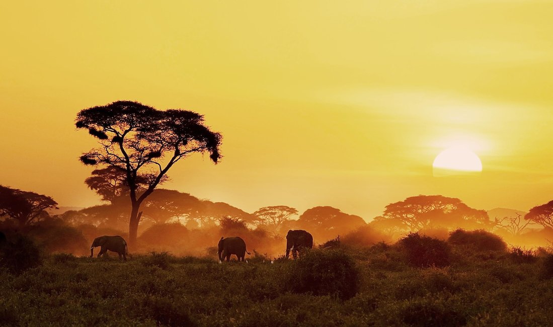 Topp 18 Resorts I Mombasa Book Direkte Topp 18 Resorts I Mombasa Book Direkte